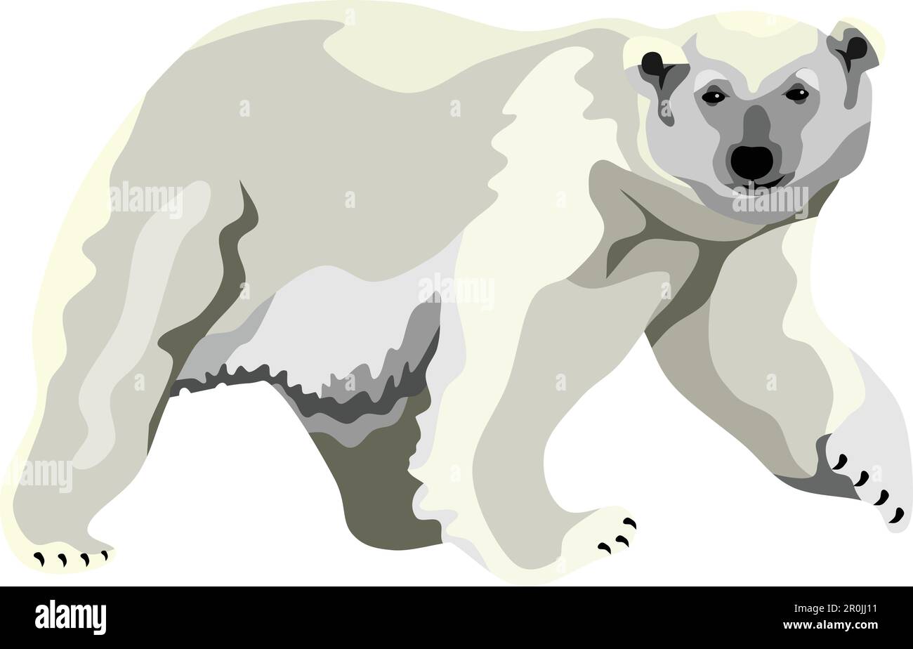Polar Bear Mammal Animal Vector Stock Vector Image & Art - Alamy