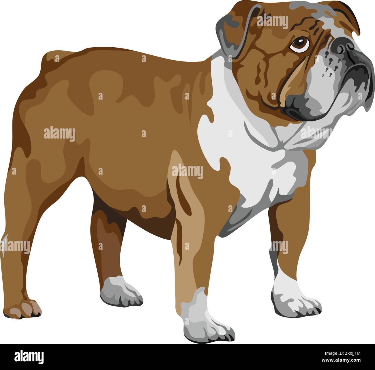 Bulldog Mammal Animal Vector Stock Vector Image & Art - Alamy