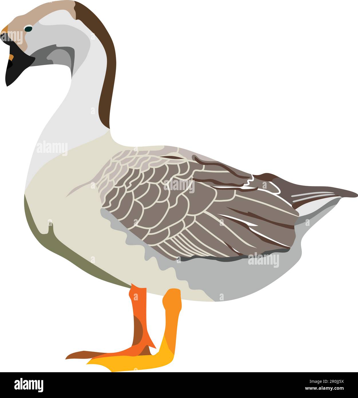 Goose Bird Animal Vector Stock Vector Image & Art - Alamy