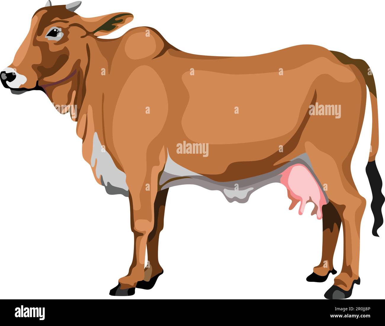 Animal sacrifice Cut Out Stock Images & Pictures - Alamy