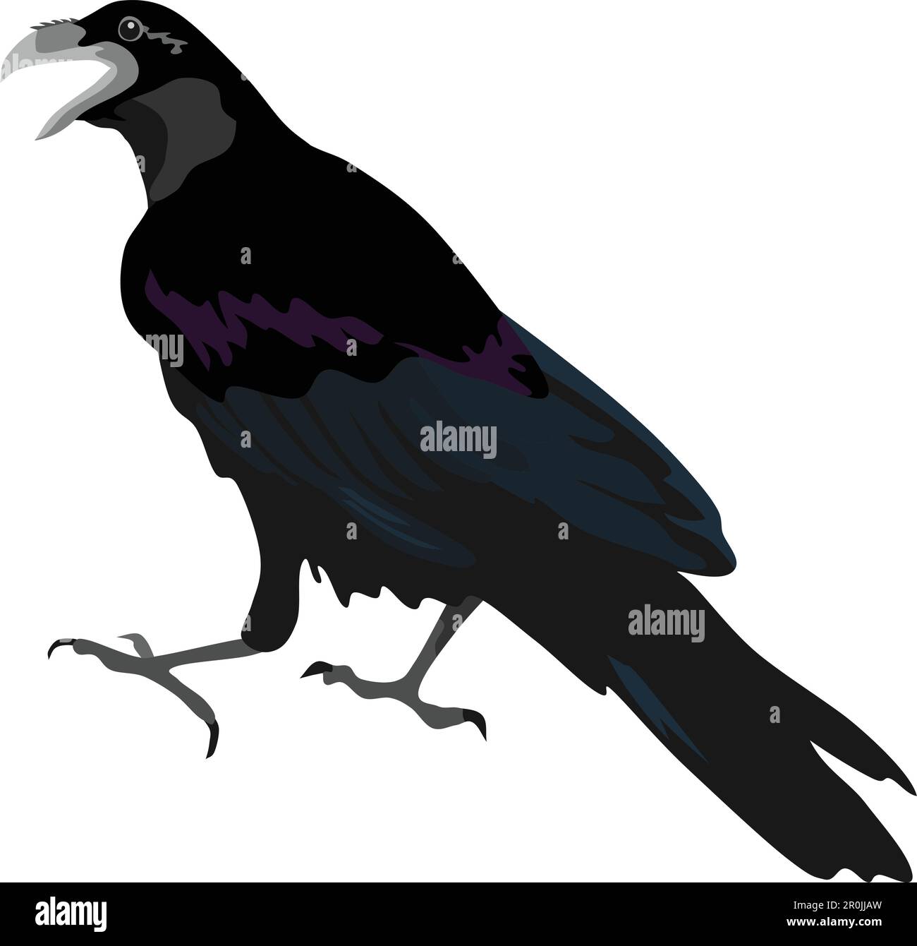 Crow Bird Animal Vector Stock Vector Image & Art - Alamy