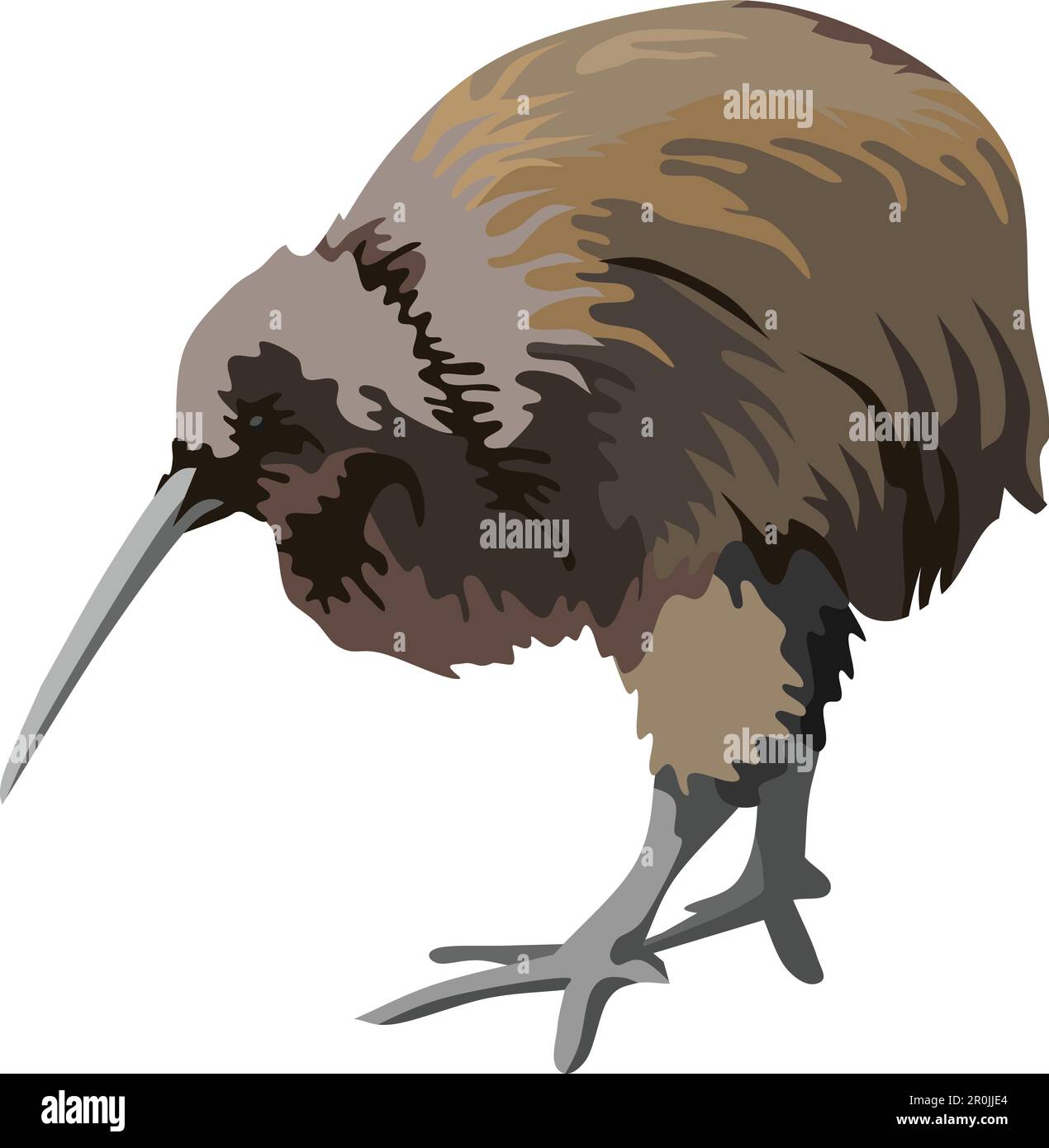 Kiwi Bird Animal Vector Stock Vector Image & Art - Alamy