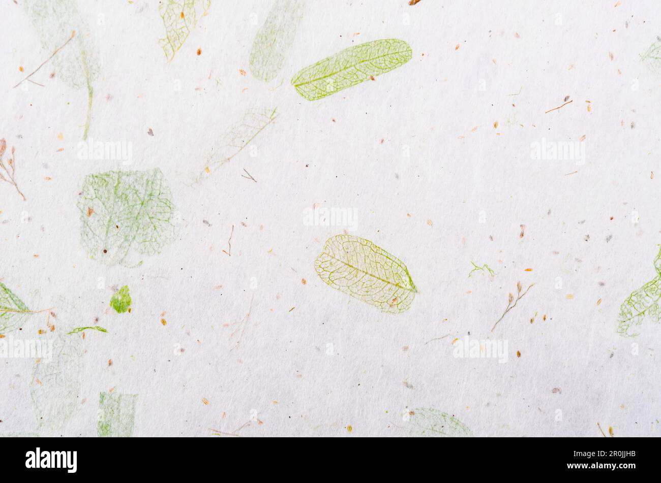 Mulberry paper sheet decorated with dry flower and leaf texture ...