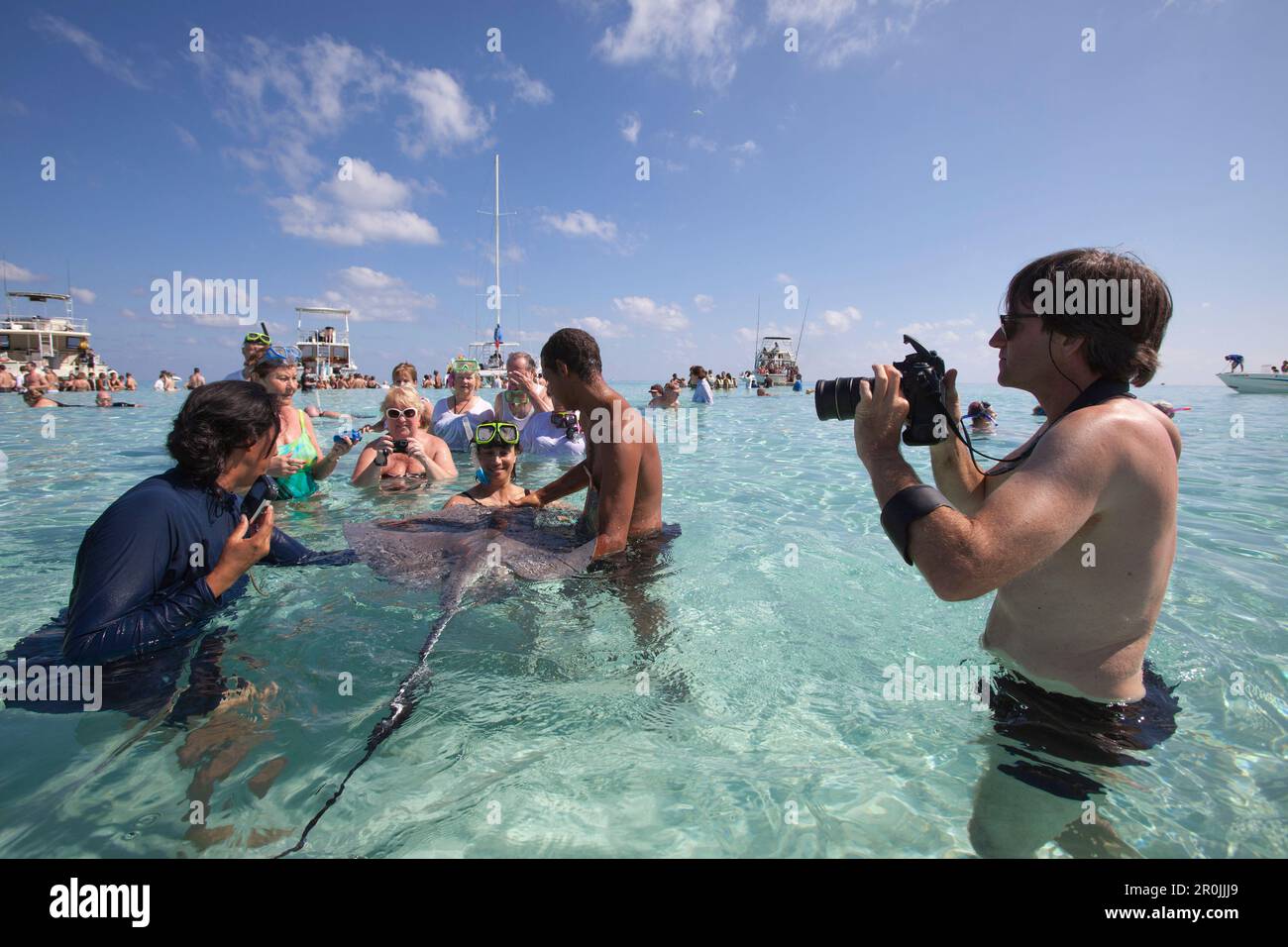 People touch stingray in shallow water during excursion to Stingray ...