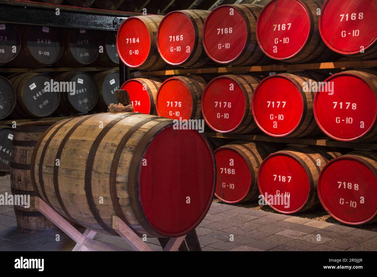 Whisky ageing barrels at The Glenmorangie Whisky Distillery, Tain, Ross ...