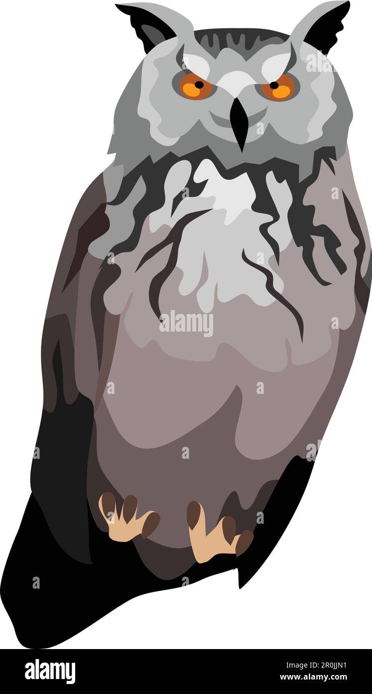 Night vision animal Cut Out Stock Images & Pictures - Alamy