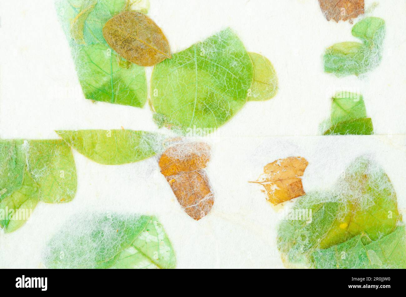 Mulberry paper texture, Top view Detail of green paper, background for ...