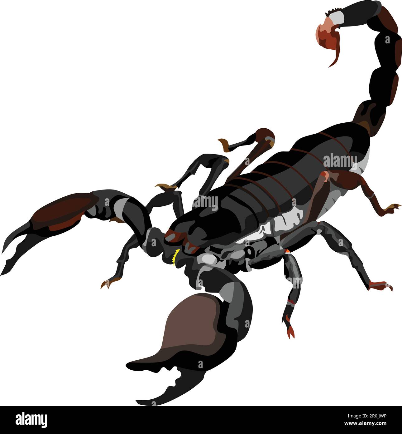 Scorpio Arachnid Animal Vector Stock Vector Image & Art - Alamy