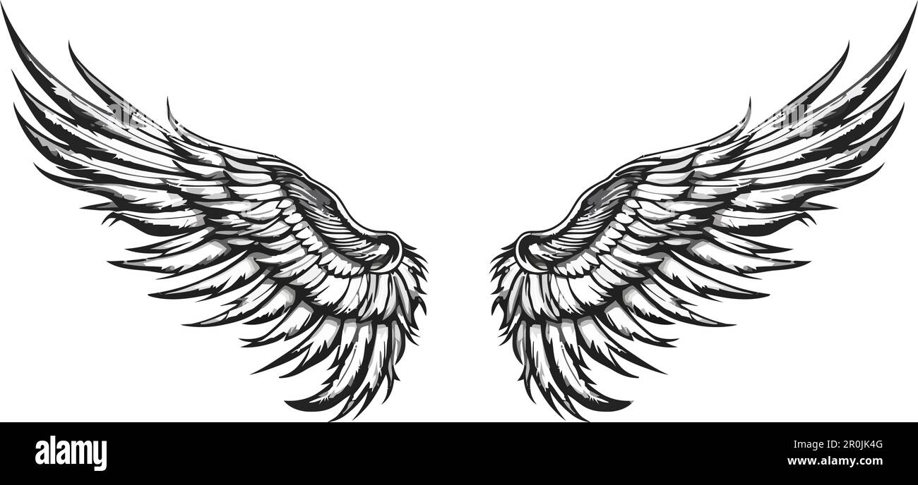 Angel wings, bird wings collection cartoon hand drawn vector ...