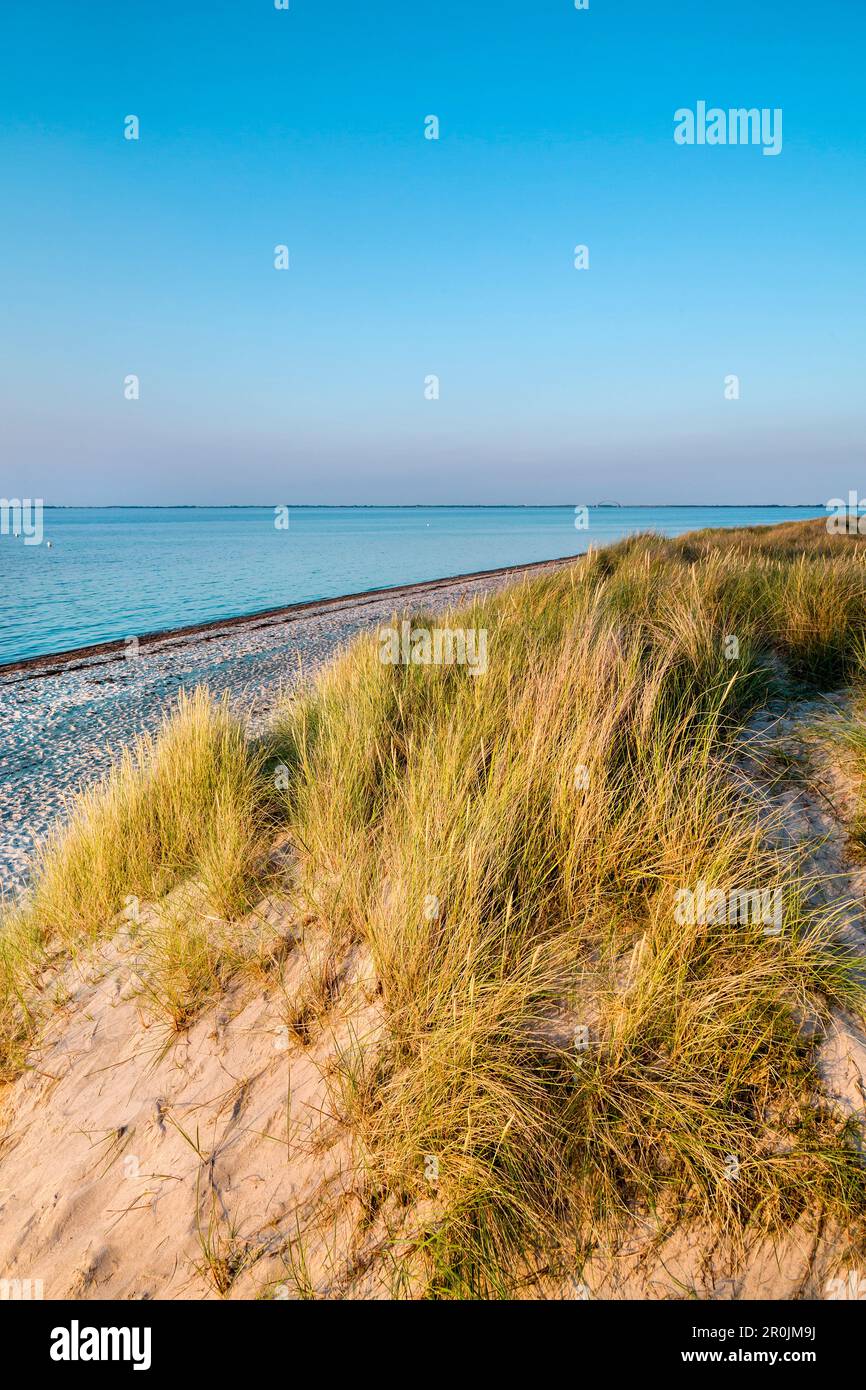 Beach and dunes, Heiligenhafen, Baltic Coast, Schleswig-Holstein ...