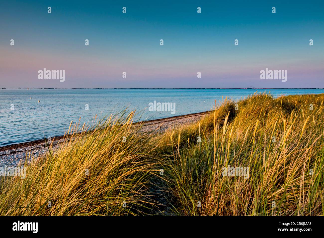 Beach and dunes, Heiligenhafen, Baltic Coast, Schleswig-Holstein ...