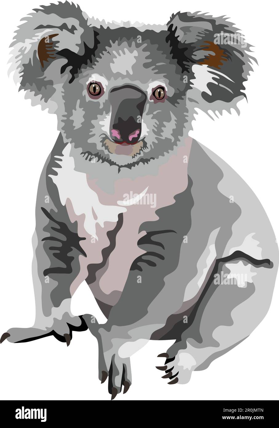 Koala Bear Mammal Animal Vector Stock Vector Image & Art - Alamy