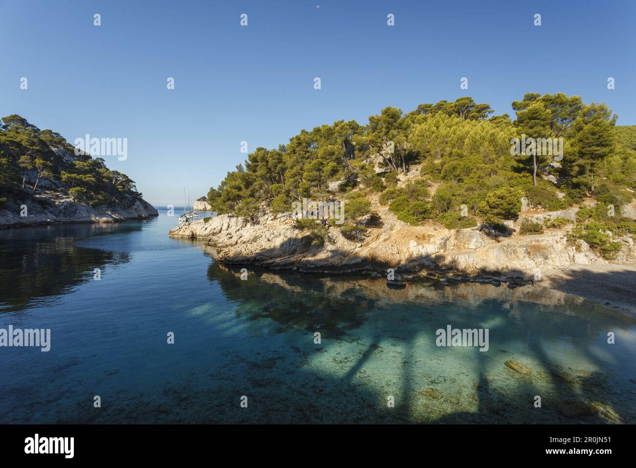 Calanque de Port-Pin, les Calanques, near Marseille, Cote d Azur ...