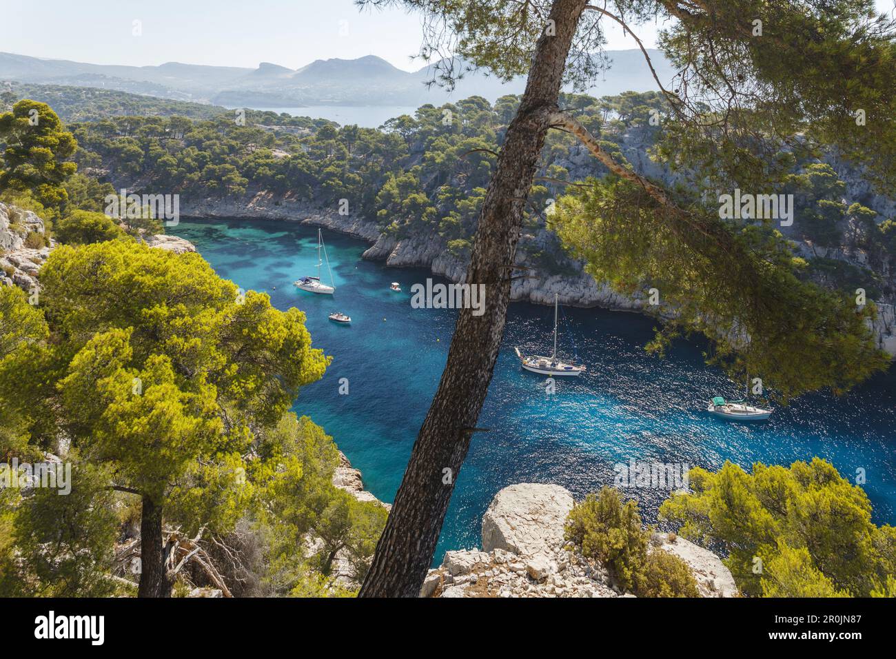 Calanque de Port-Pin, les Calanques, near Marseille, Cote d Azur ...
