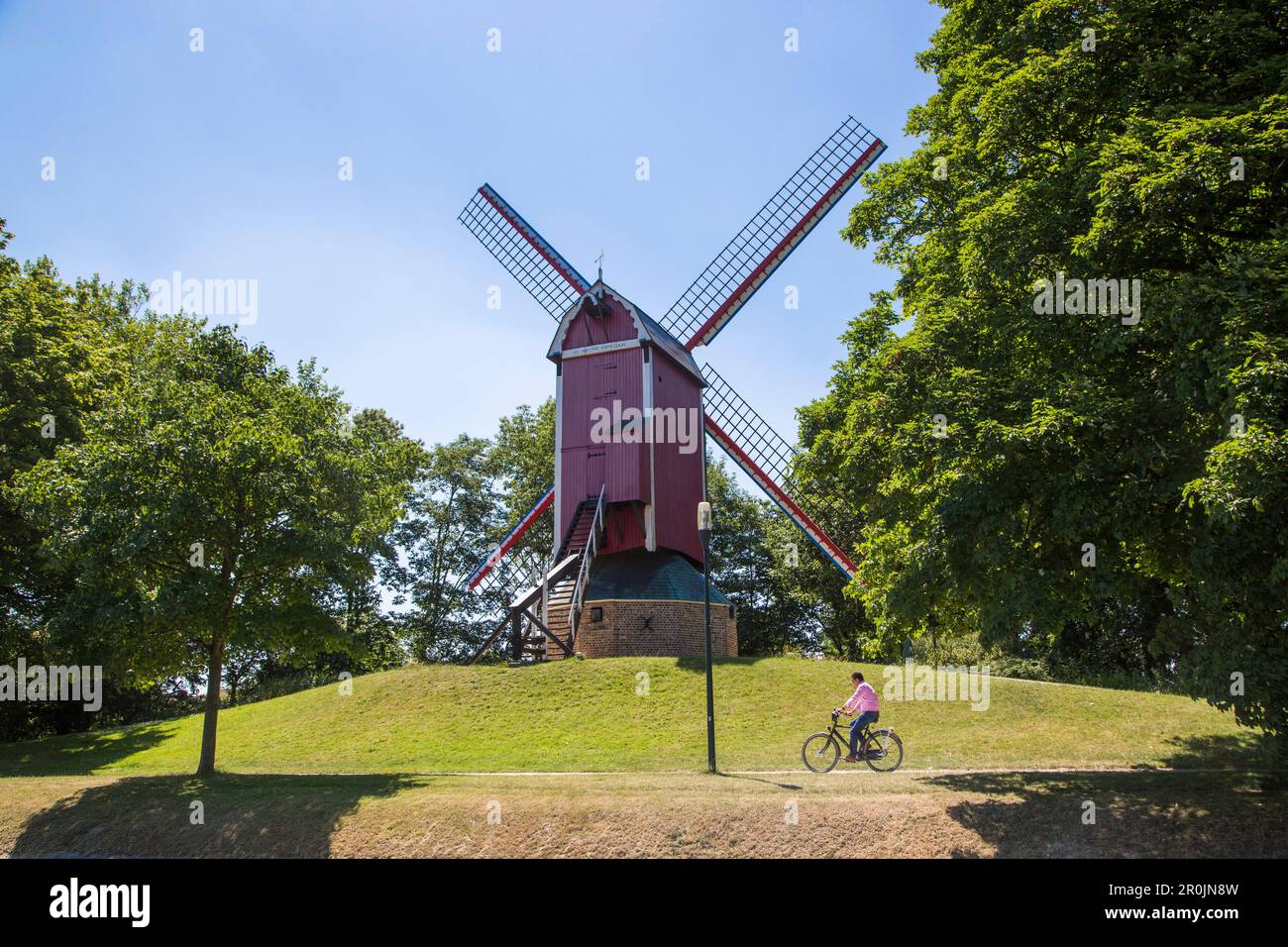 De nieuwe papegaai bruges hi-res stock photography and images - Alamy