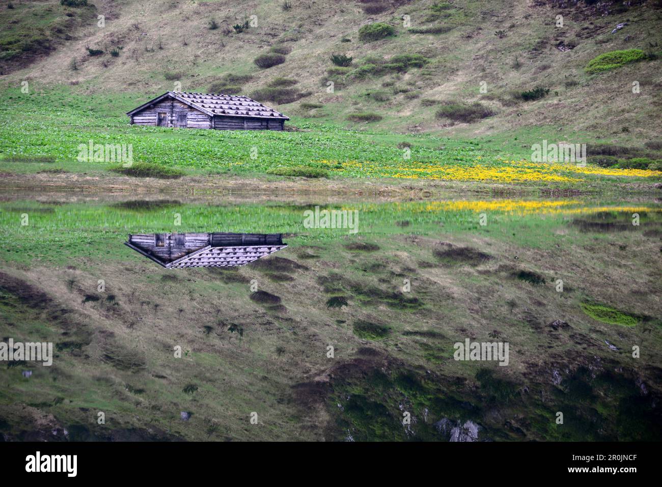 Reflection at lake Funtensee over lake Koenigssee, Berchtesgaden, Upper ...