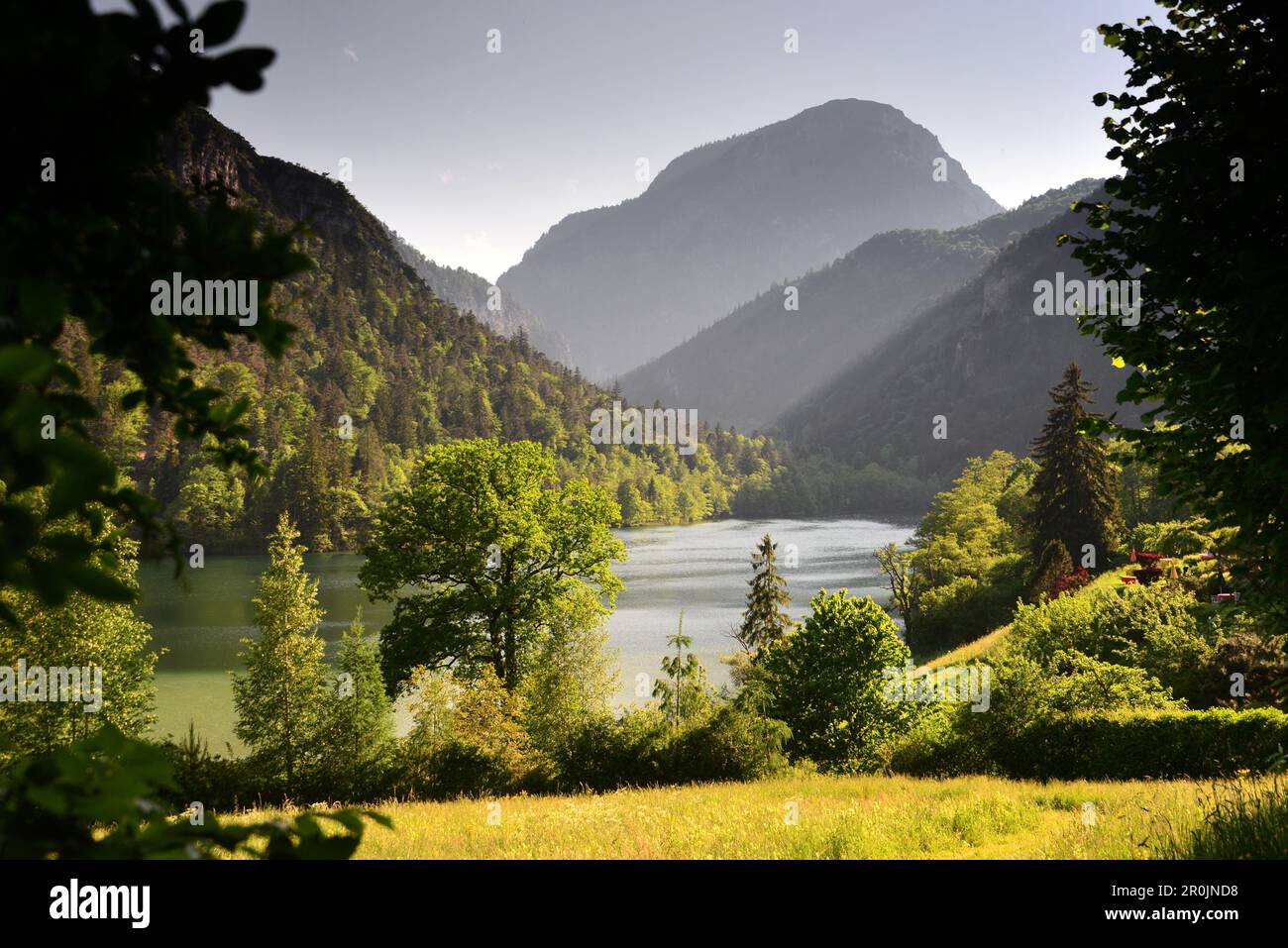 Lake Thum near Bad Reichenhall, Berchtesgaden, Upper Bavaria, Bavaria ...