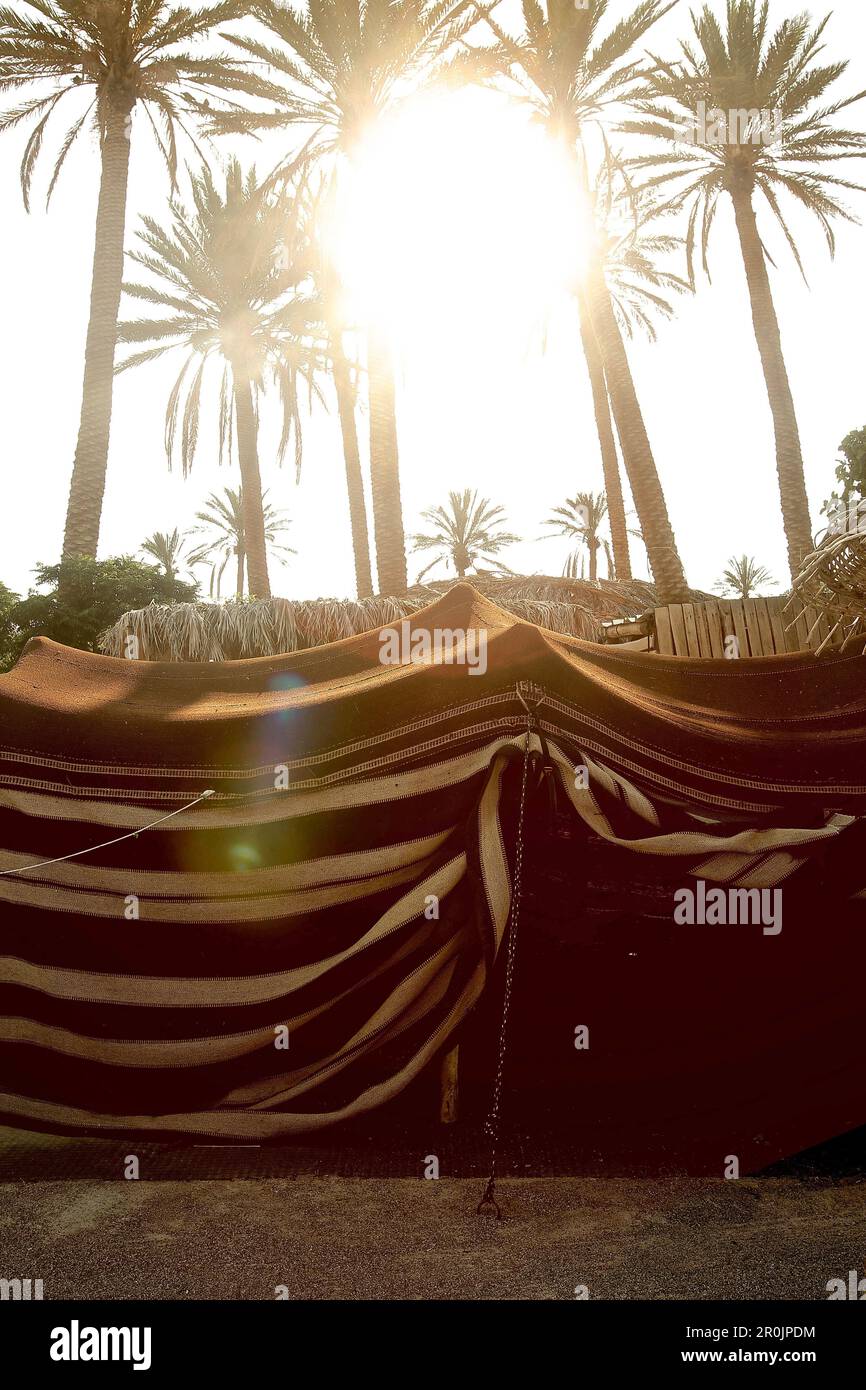 Bedouin tent in an oasis, Negev, Israel Stock Photo - Alamy