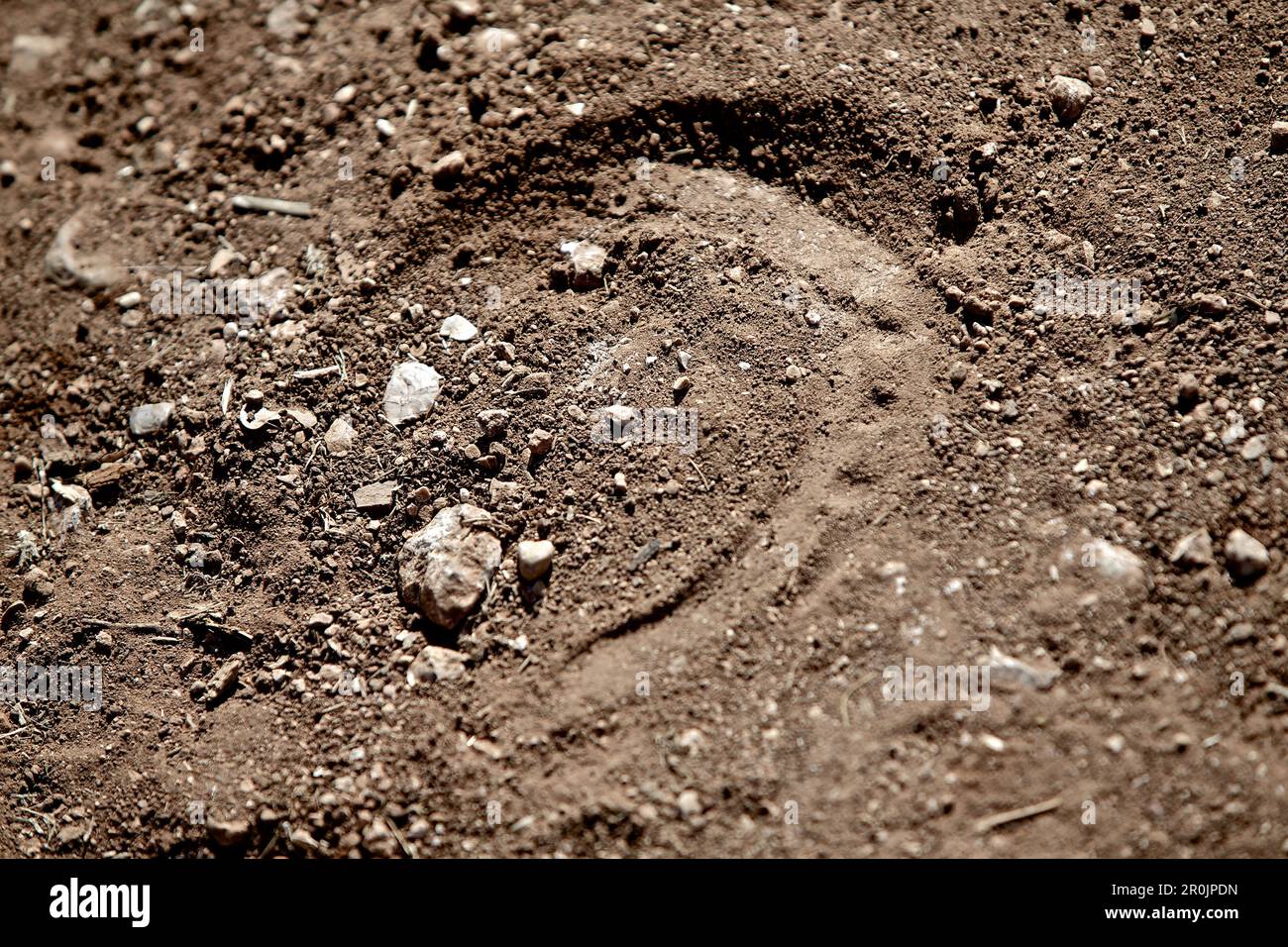 Hoof print sand hi-res stock photography and images - Alamy