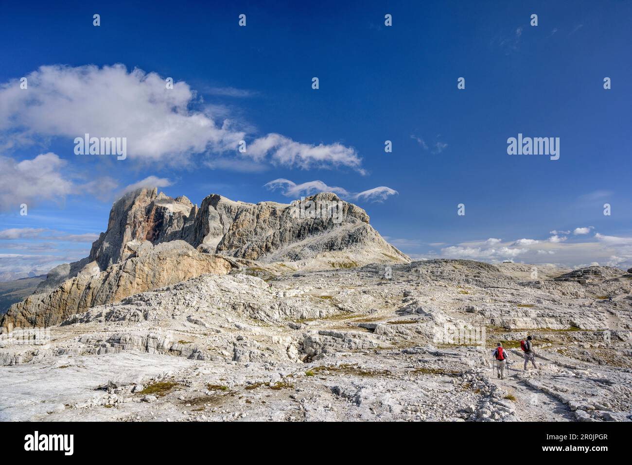 Two persons hiking on Pala plateau, Cimon della Pala, Cima della ...