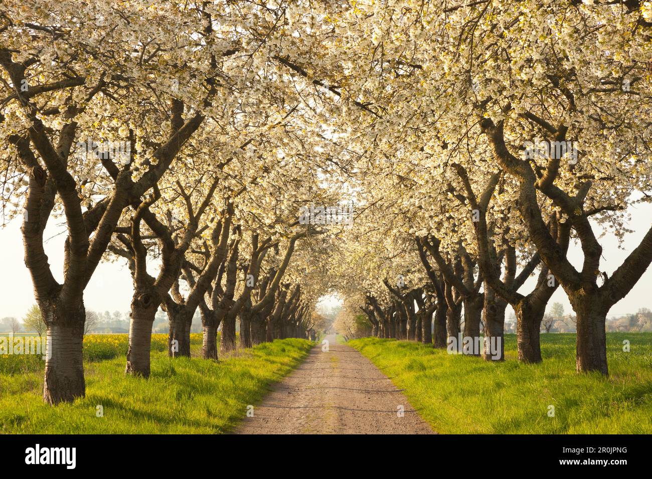 Wendland region hi-res stock photography and images - Alamy