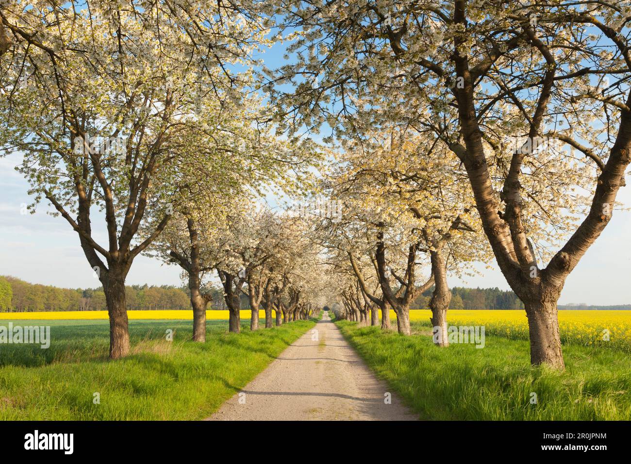 Wendland region hi-res stock photography and images - Alamy