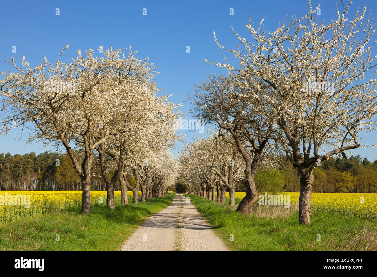 Wendland region hi-res stock photography and images - Alamy