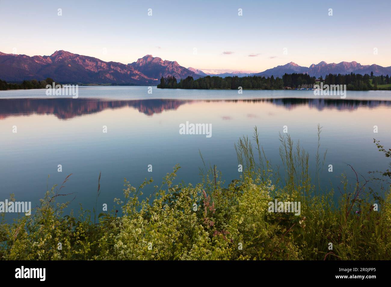 View over Forggensee to Tegelberg, Neuschwanstein castle, Saeuling and ...