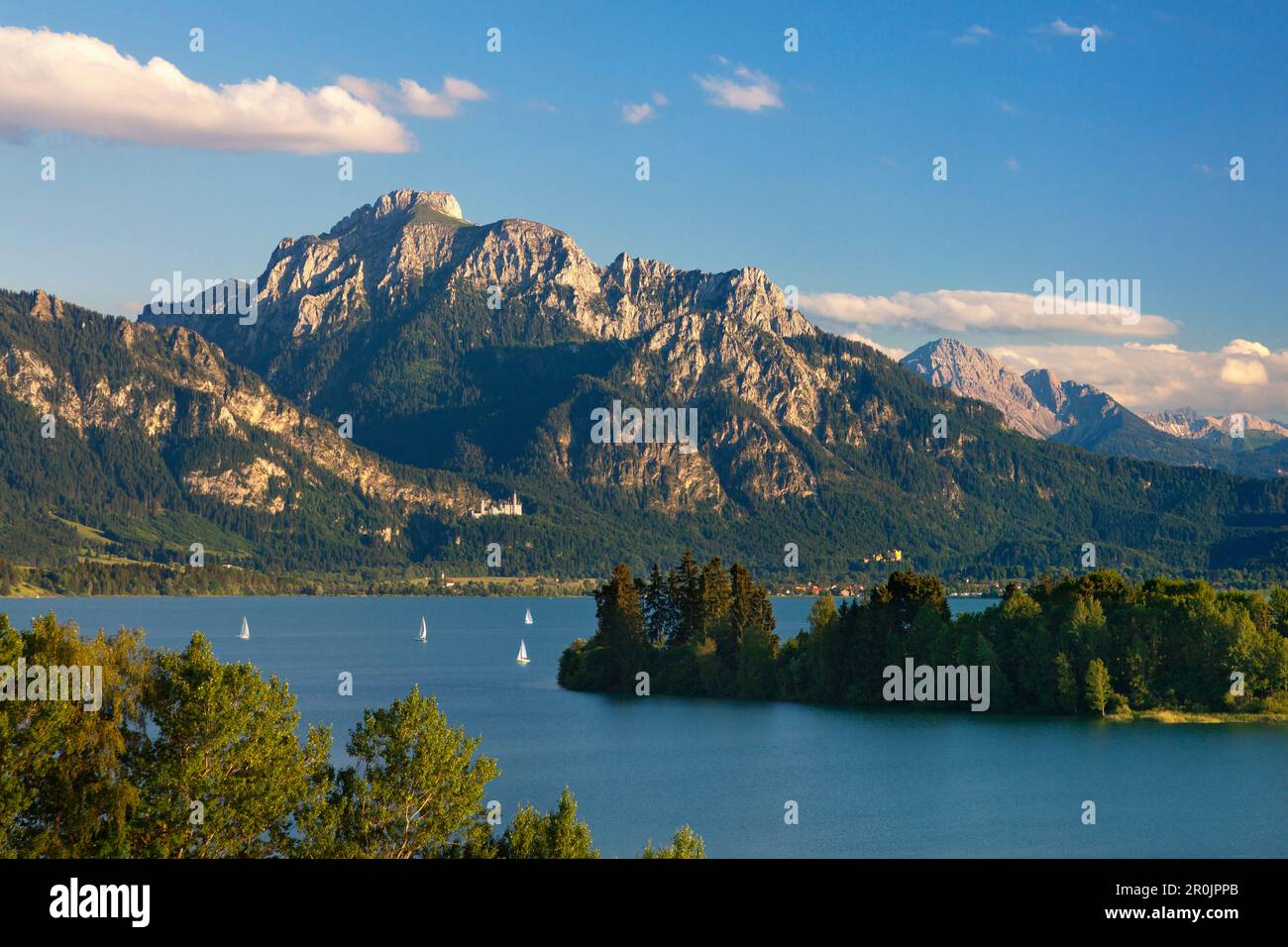 View over Forggensee to Neuschwanstein castle and Saeuling, Allgaeu ...