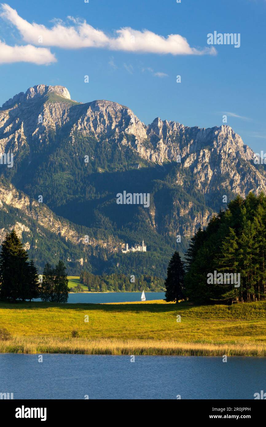 View over Forggensee to Neuschwanstein castle and Saeuling, Allgaeu ...