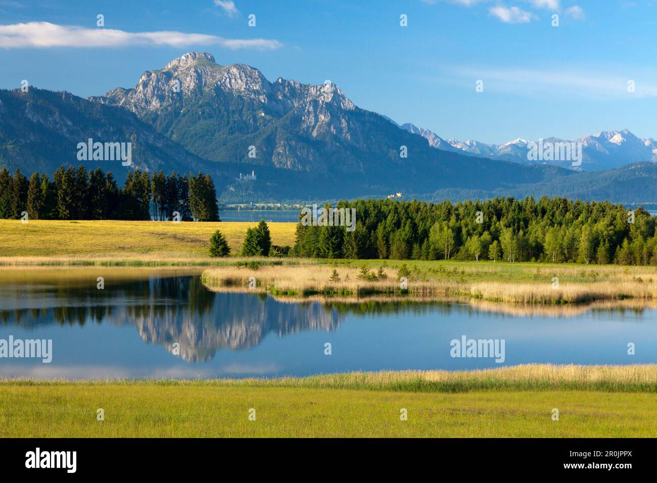 View over Forggensee to Saeuling and Neuschwanstein and Hohenschwangau ...