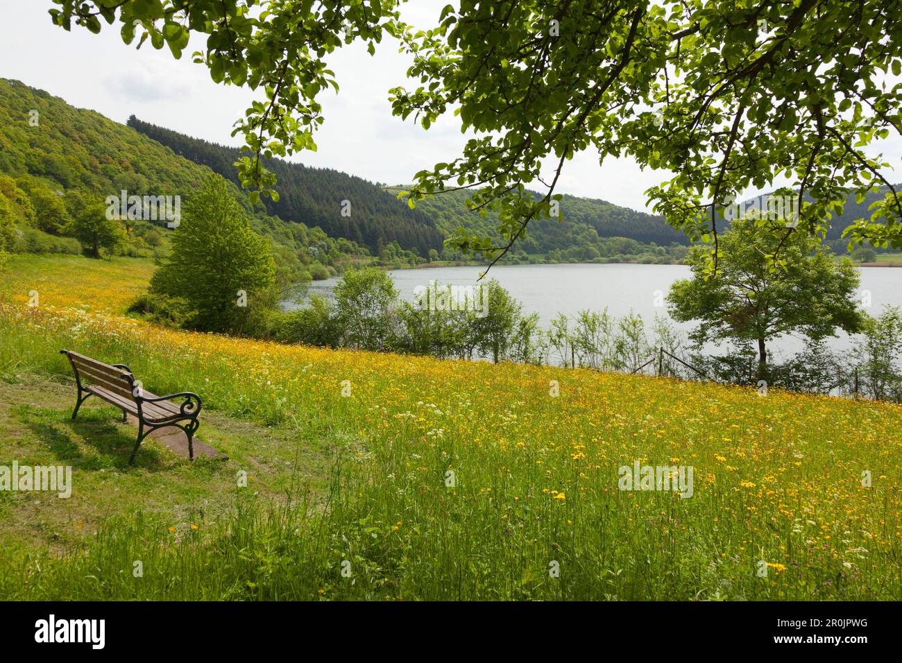 Vulkaneifel maar hi-res stock photography and images - Alamy