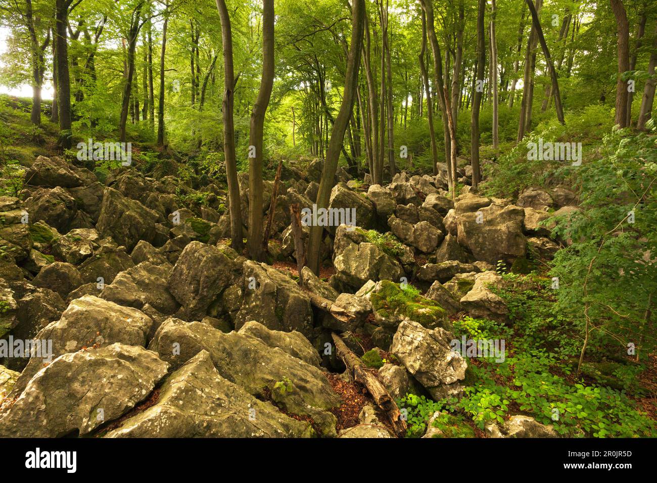 Rock formation Felsenmeer, near Hemer, Sauerland region, North Rhine ...