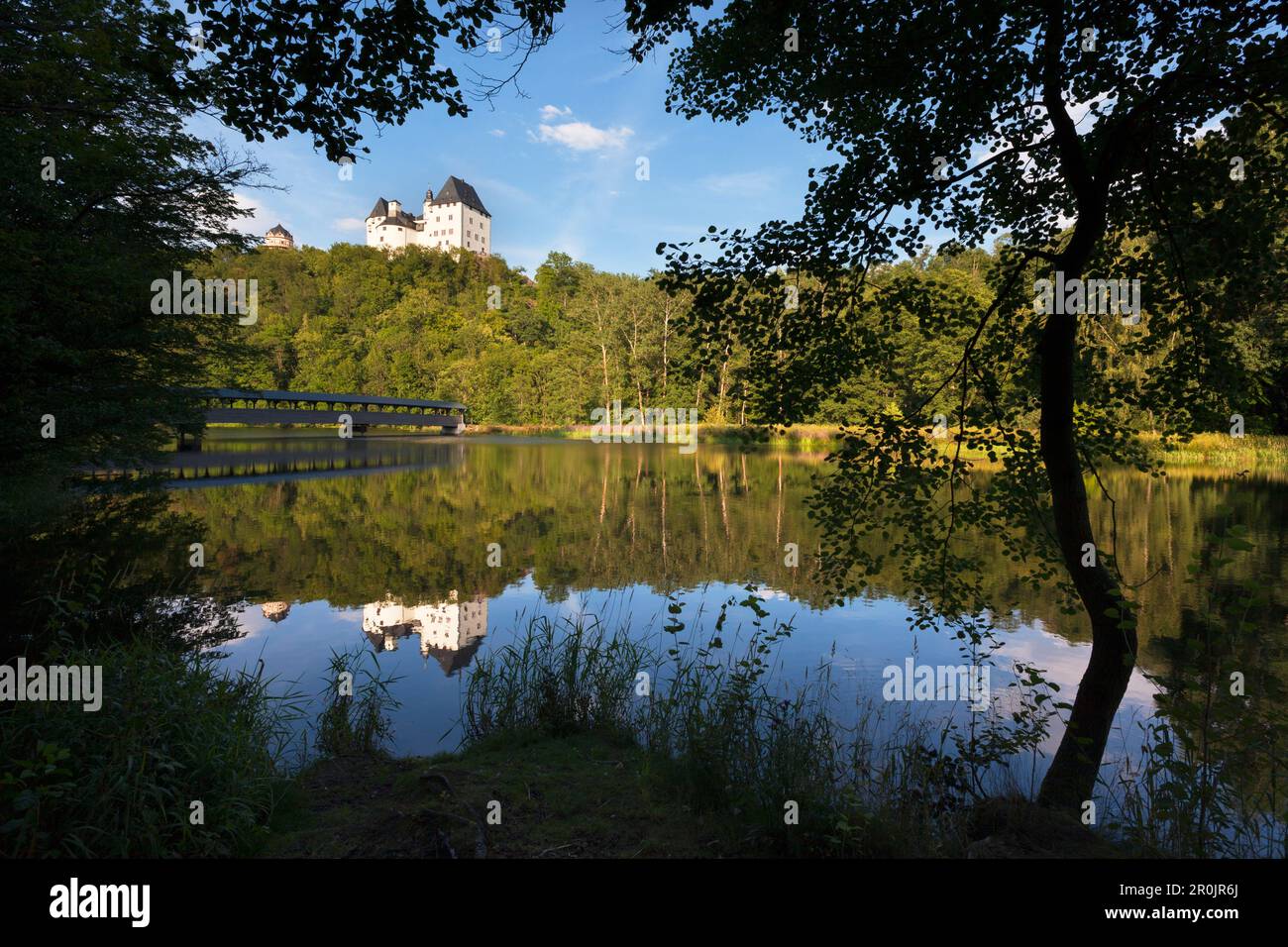 Burgk castle, nature park Thueringer Schiefergebirge / Obere Saale ...