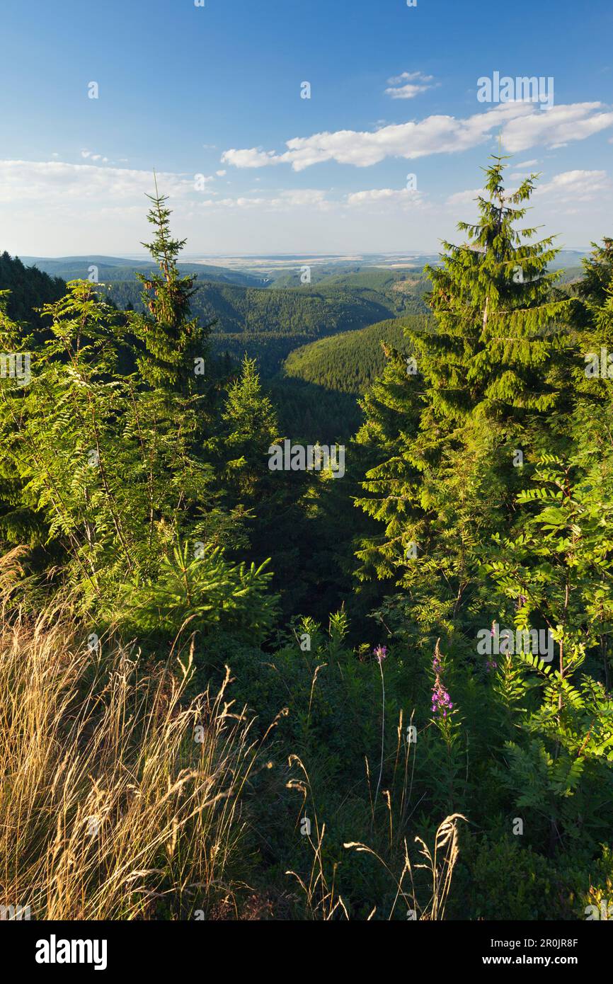 View from Teufelskanzel at Schneekopf hill, nature park Thueringer Wald ...