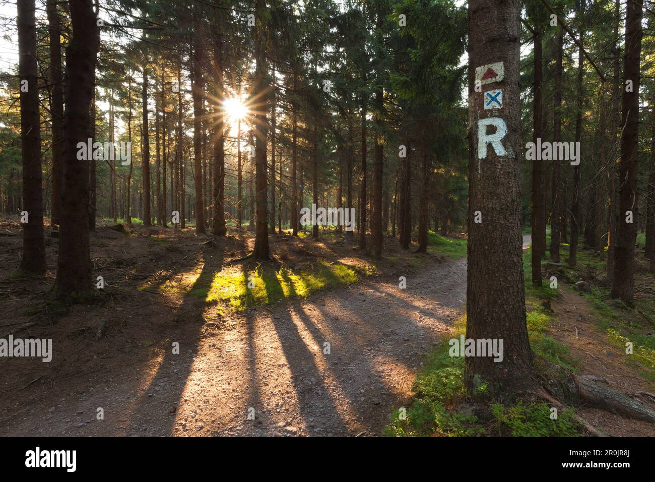 Rennsteig hiking trail hi-res stock photography and images - Alamy
