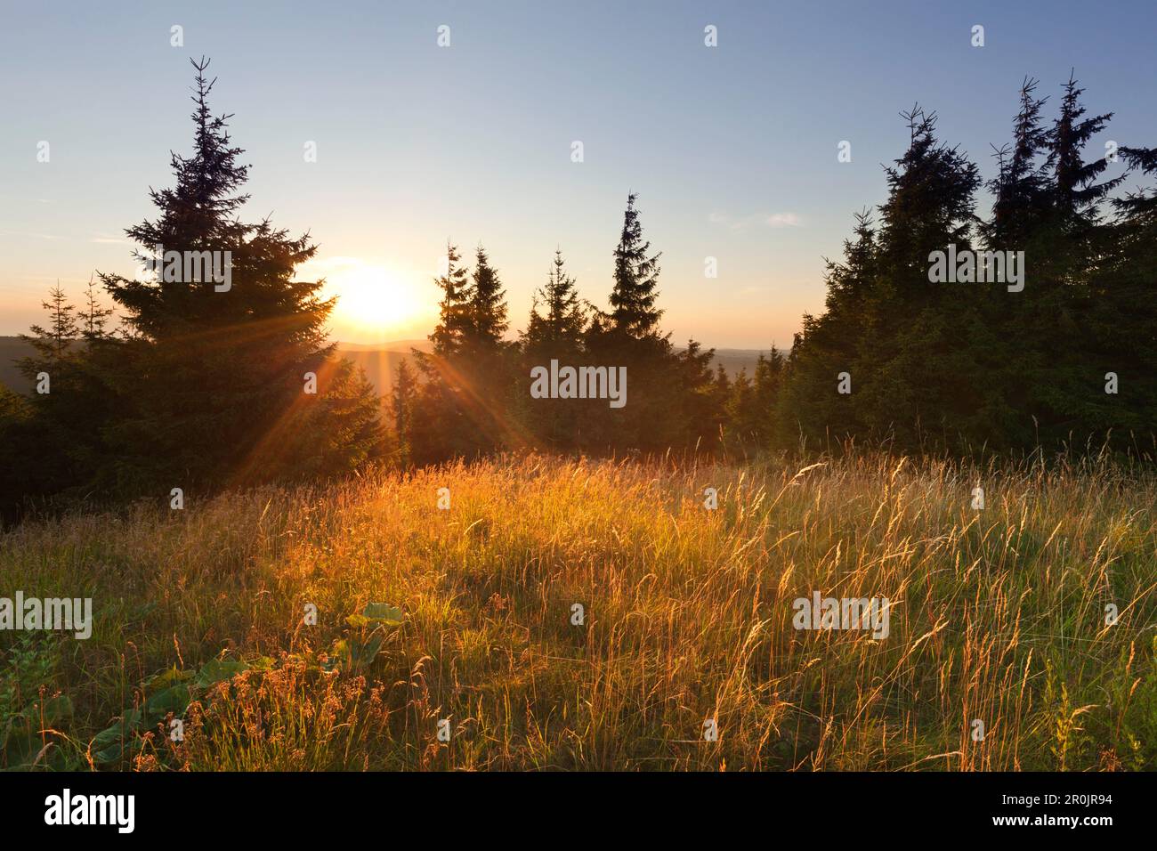 Sunset at Schneekopf hill, nature park Thueringer Wald, Thuringia ...