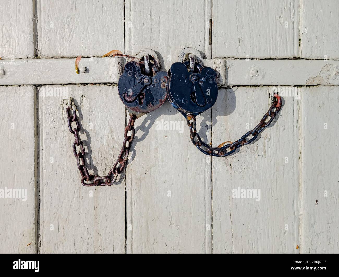 Rustic metal locks with chain on a white wooden door Stock Photo - Alamy