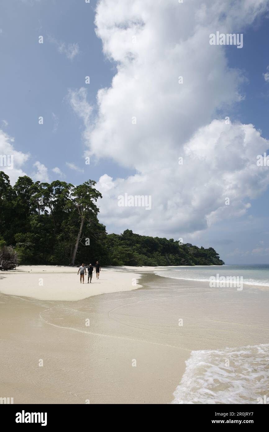 'Turtle Beach' dive site, boat tour with Barefoot Scuba, coastal forest ...