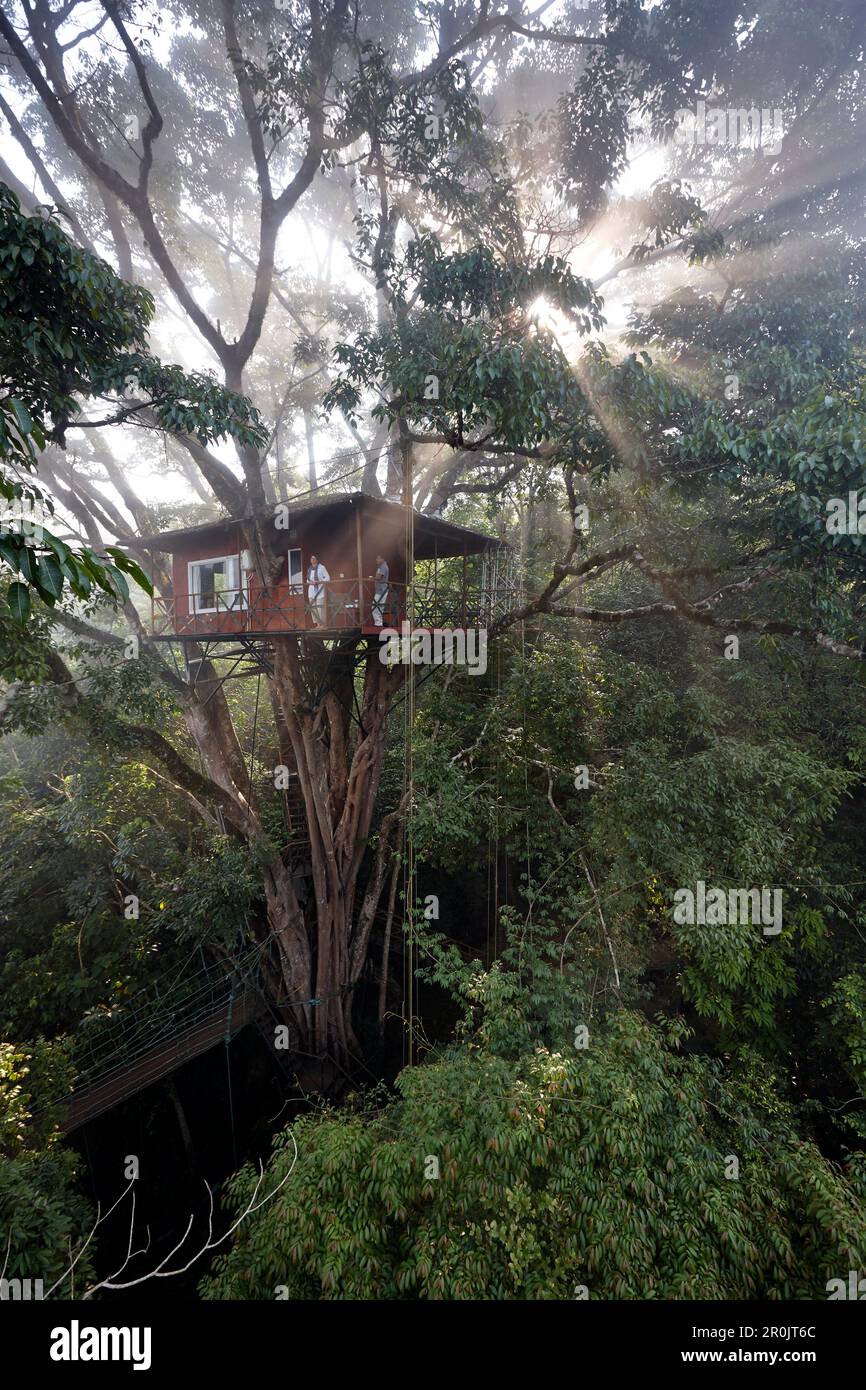 Treehouse Room 601, Treehouse 1 at Vythiri Resort near Lakkidi, Wayanad ...