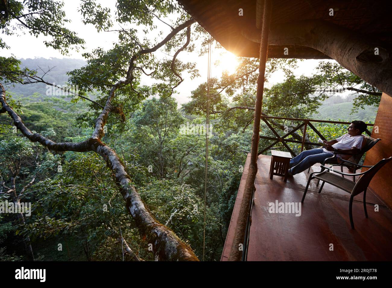 Treehouse Room 601, Treehouse 1 in Vythiri Resort near Lakkidi, Wayanad ...