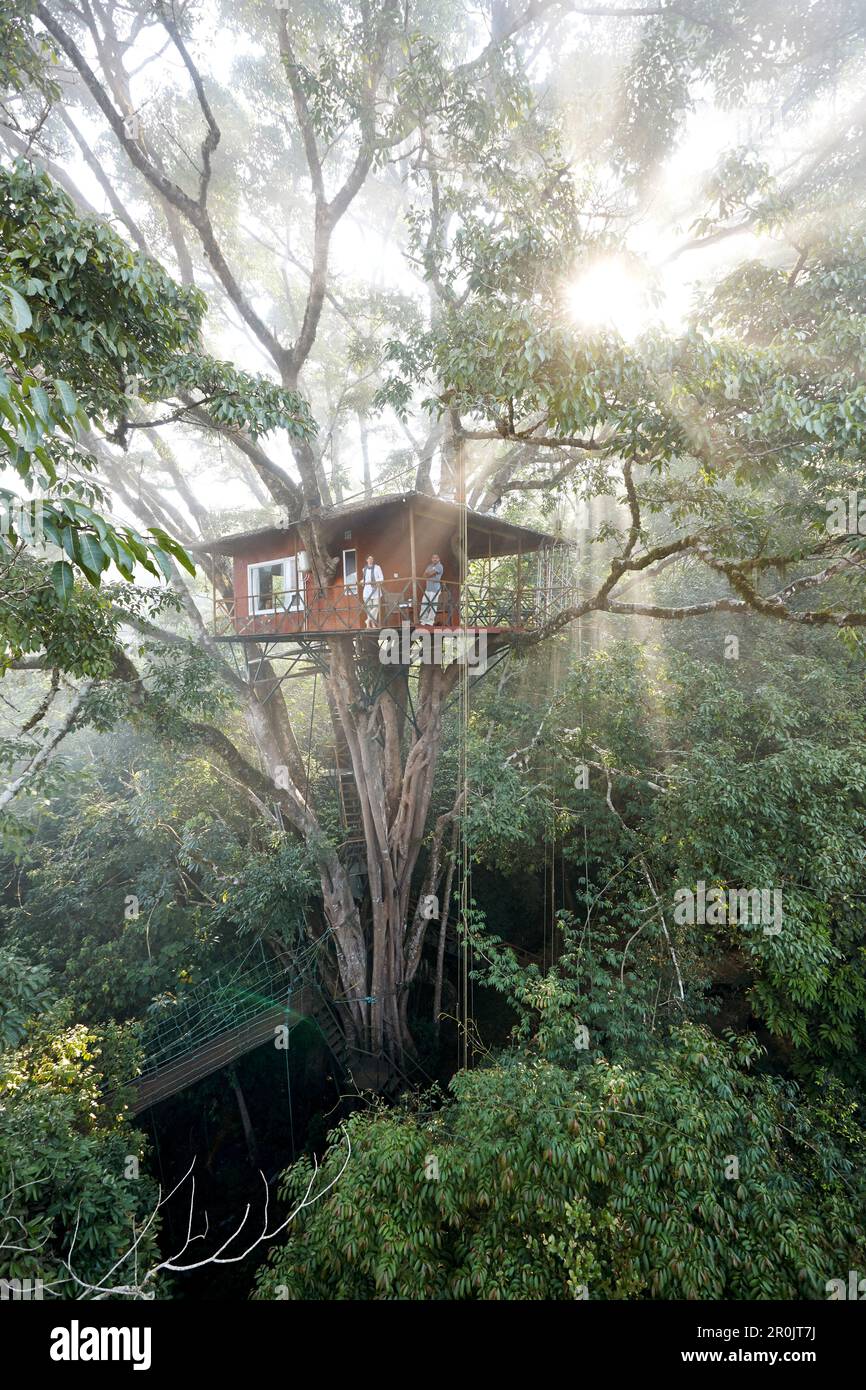 Treehouse Room 601, Treehouse 1 of Vythiri Resort near Lakkidi, Wayanad ...
