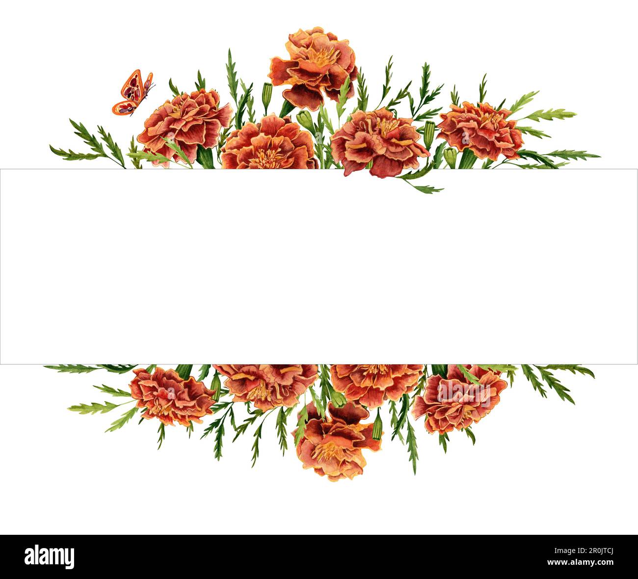 Floral frame with orange marigold or carnation flowers and green leaves ...