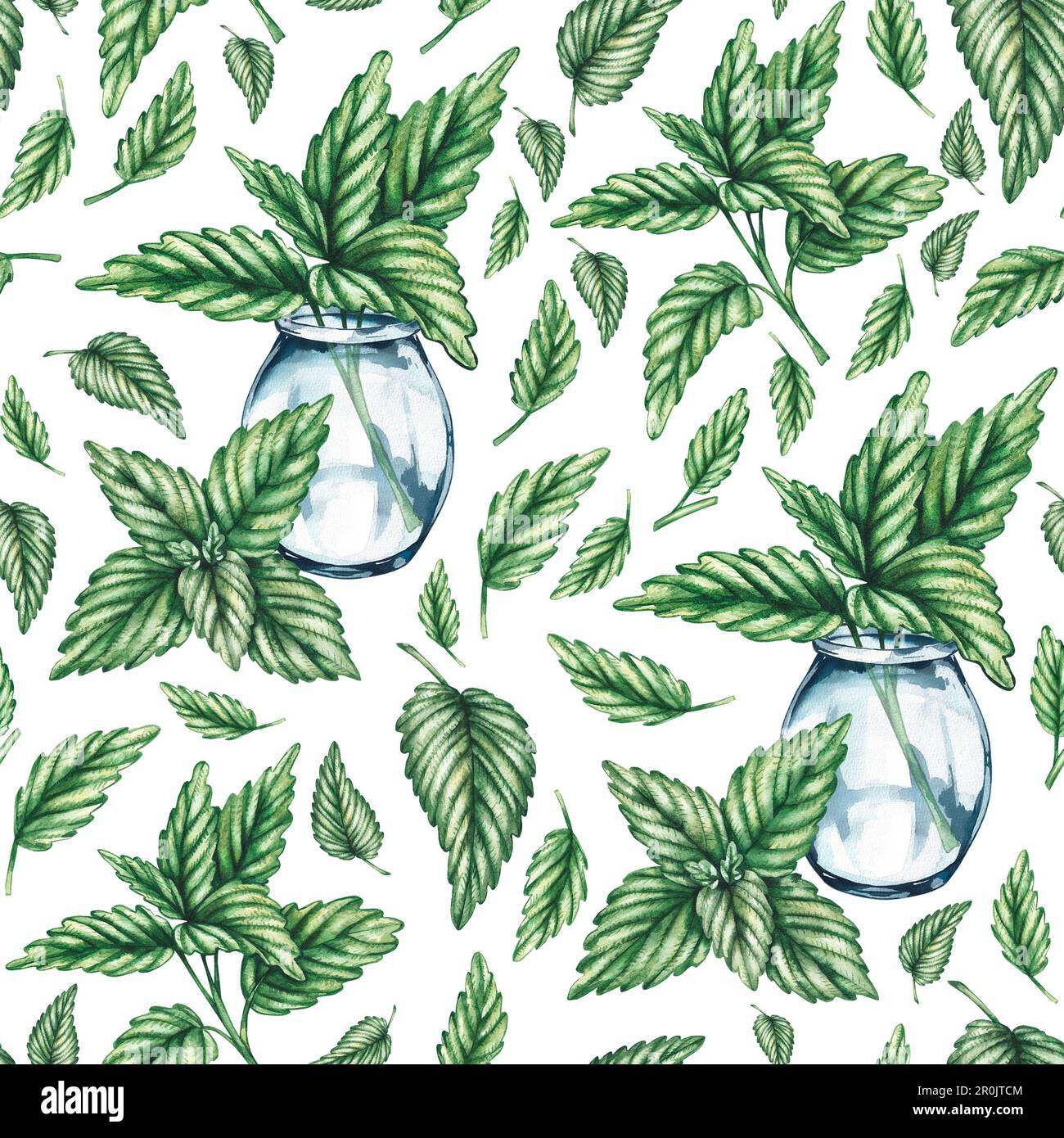 Seamless pattern with watercolor sprigs of mint on a white background ...