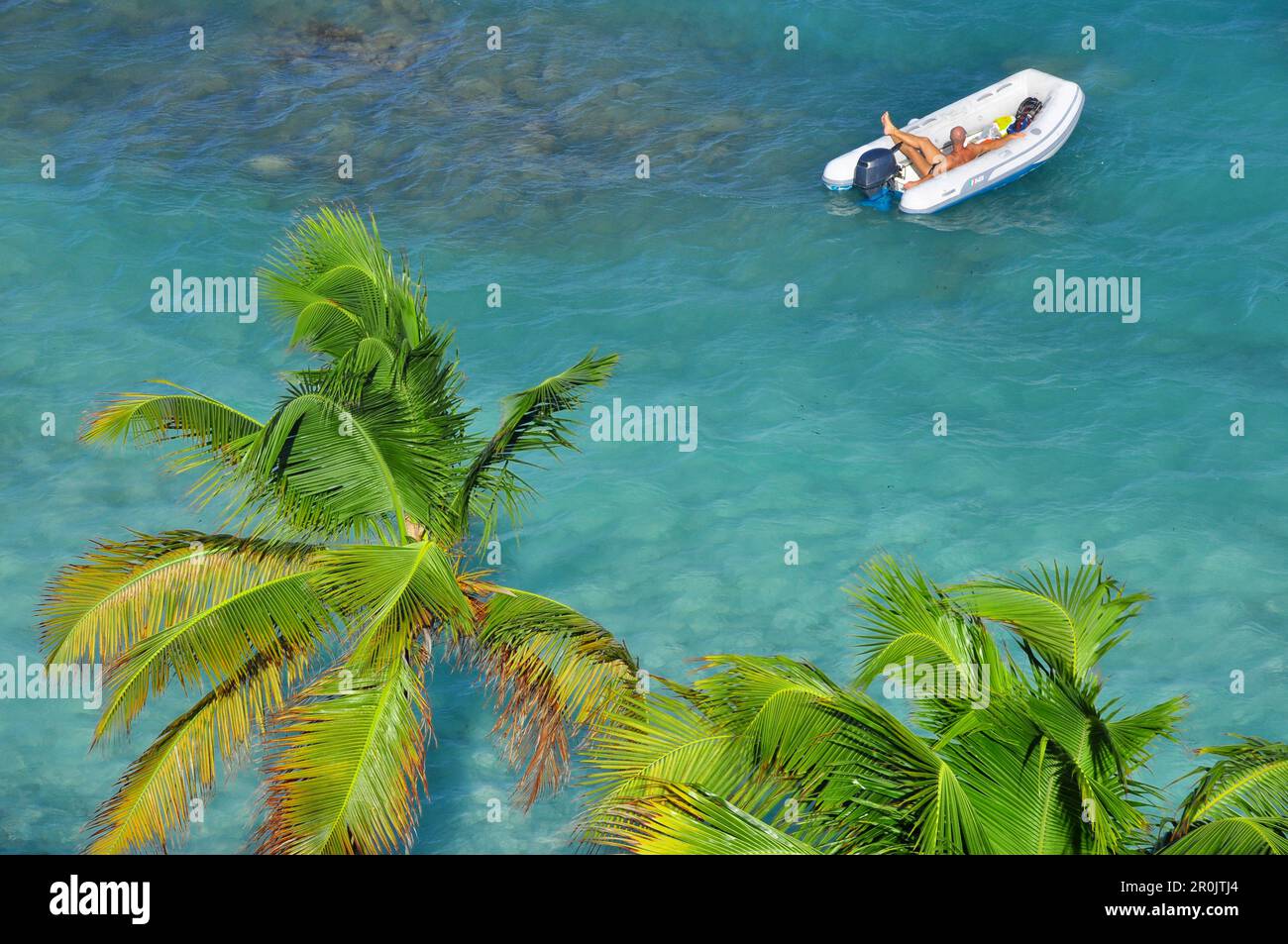 Man in a dinghy surrounded by waves and palms, sea, Horseshoe Reef ...