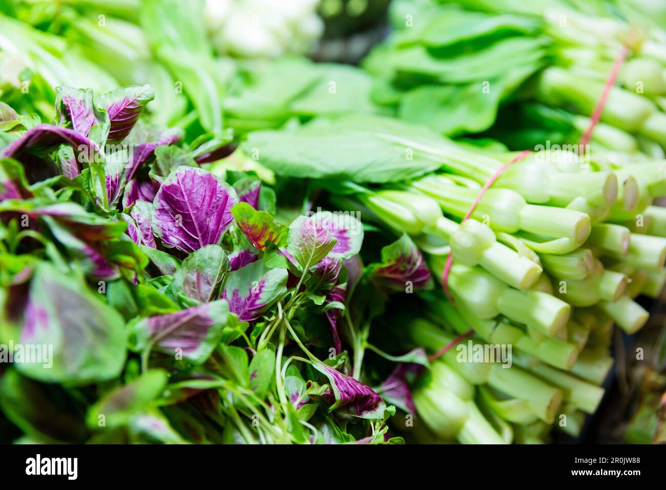 Green veggies, Tianzifang, vegetable market, fresh market, greens ...