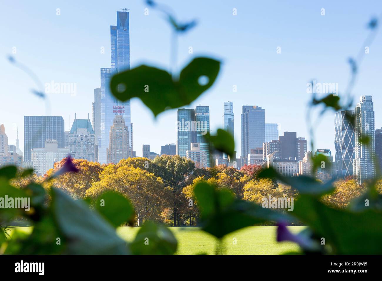 Autumn in Central Park, Sheep Meadow, Skyline, Manhattan, New York City ...