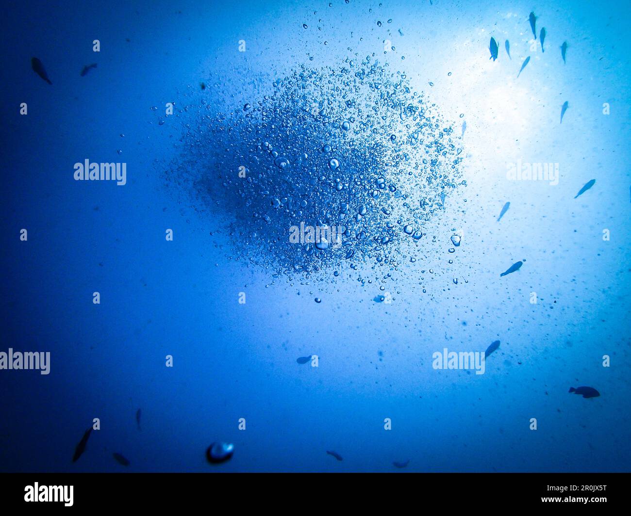 Air bubbles rising to the surface when diving, fish swimming around it ...