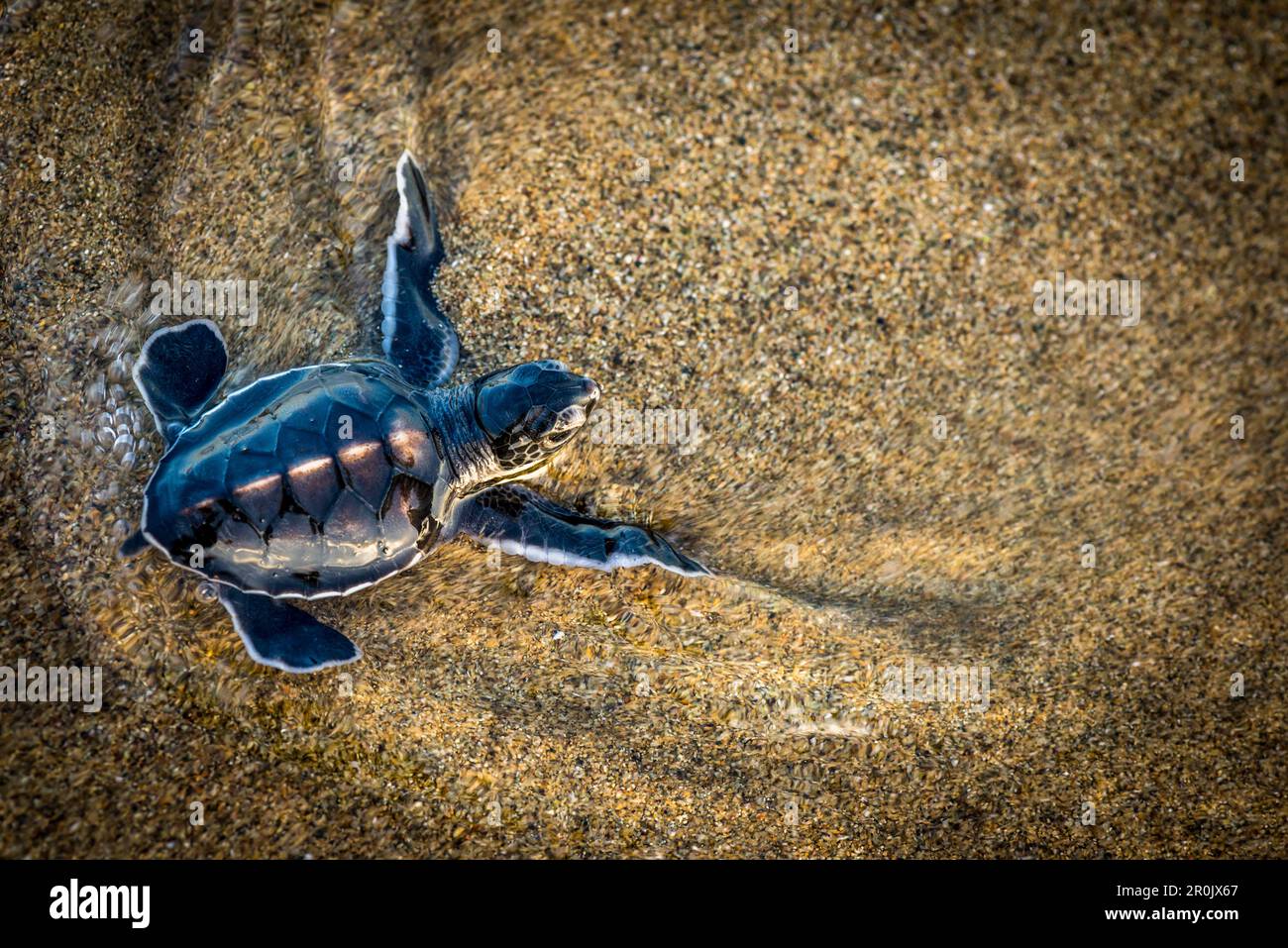 Overhead beach indonesia hi-res stock photography and images - Alamy