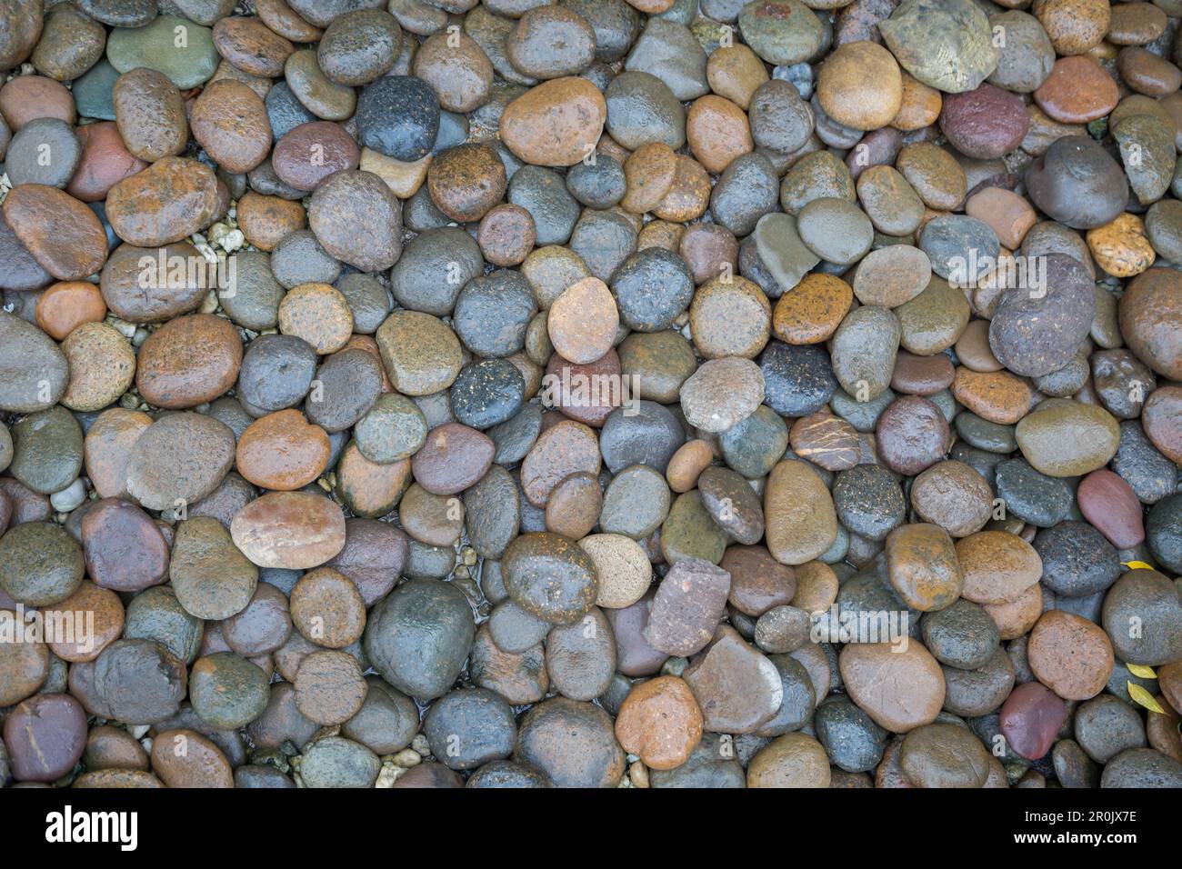 Wet rock river texture background Stock Photo - Alamy
